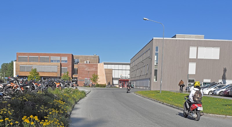 Ole Vig videregående skole