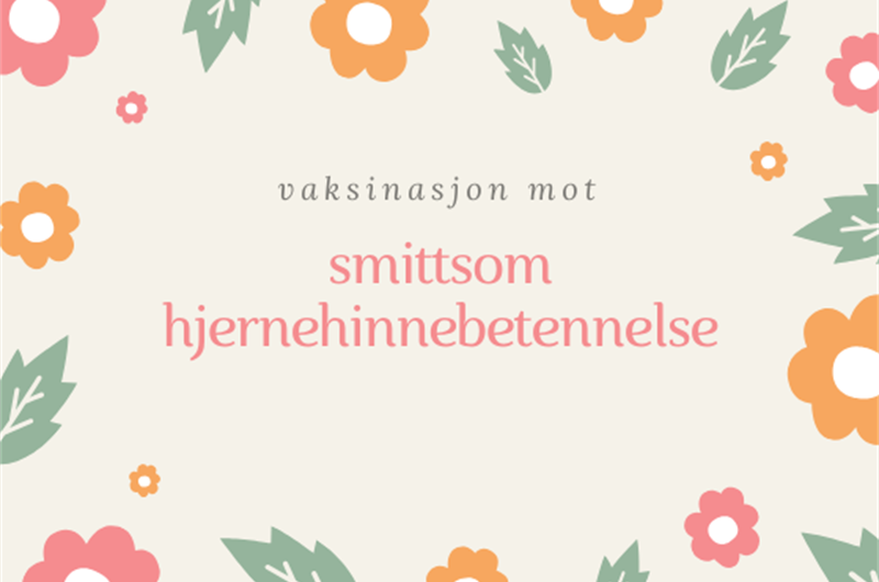 Melhus videregående skole - Skoleside