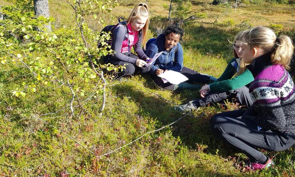 Melhus videregående skole
