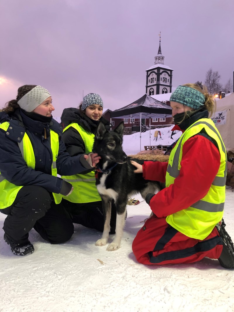 Hilsen fra arrangøren!